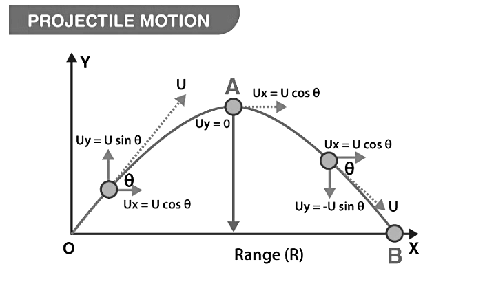 A Guide To Understand Projectile Motion With Reallife