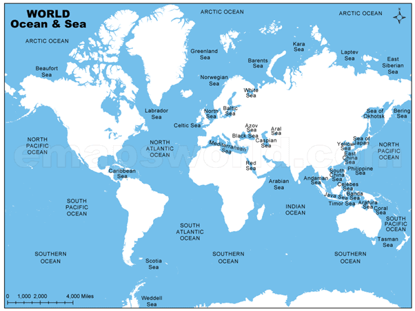 Major Seas Of The World