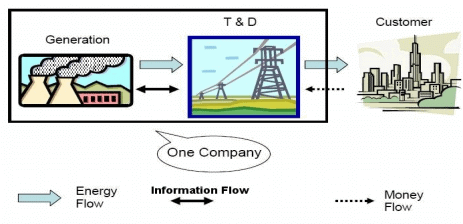 Vertically Integrated Utility