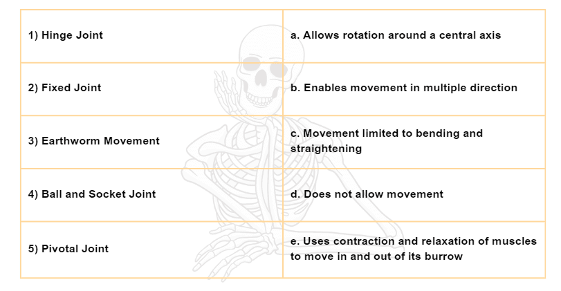 Body Movements Worksheet