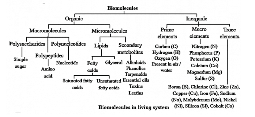 Important Flow Charts: Biomolecules - NEET PDF Download