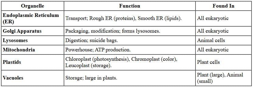 Cheat Sheet: The Fundamental Unit of Life - Science Class 9 PDF Download