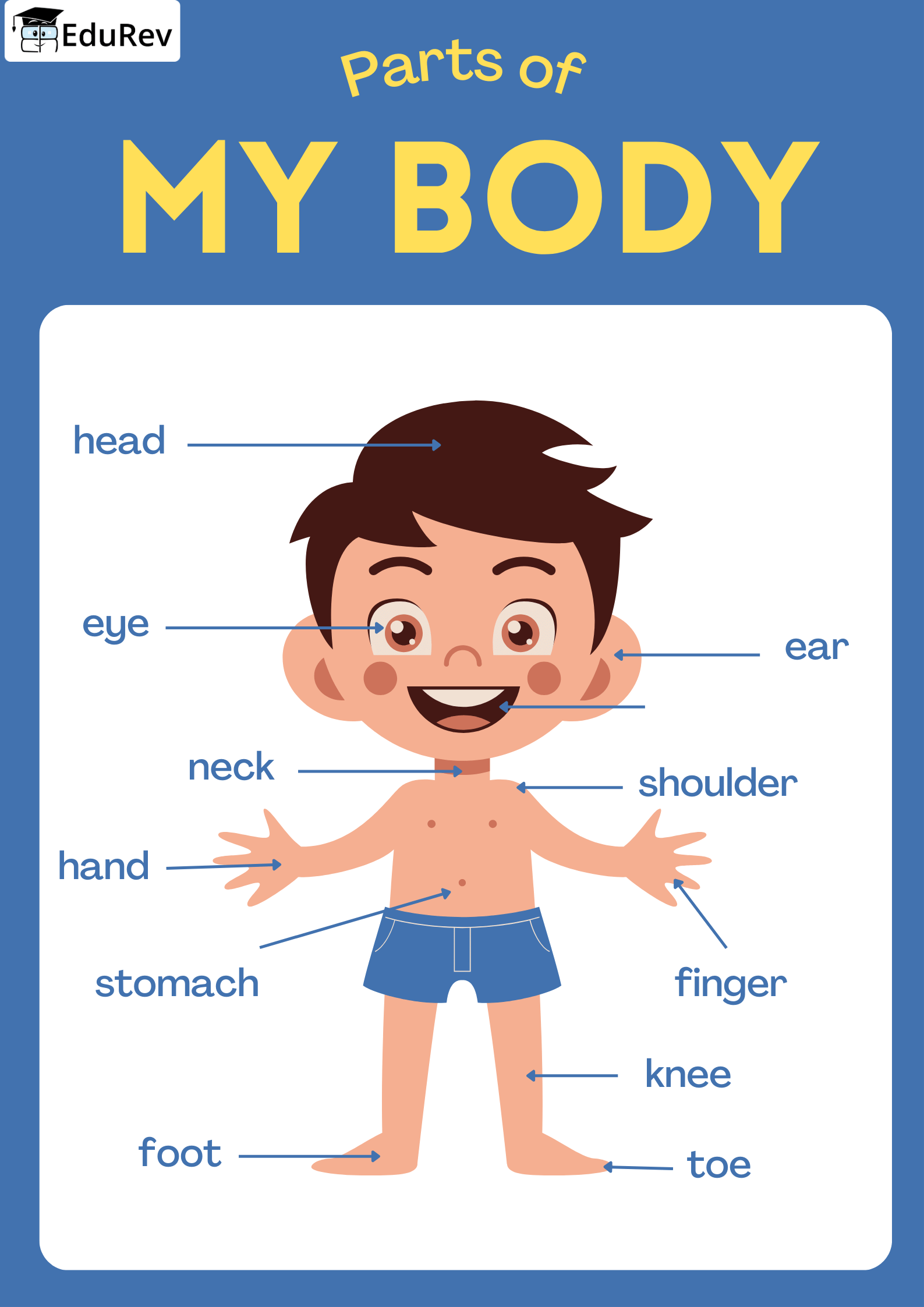 Printable Poster: Parts of My Body Poster - EVS for UKG PDF Download