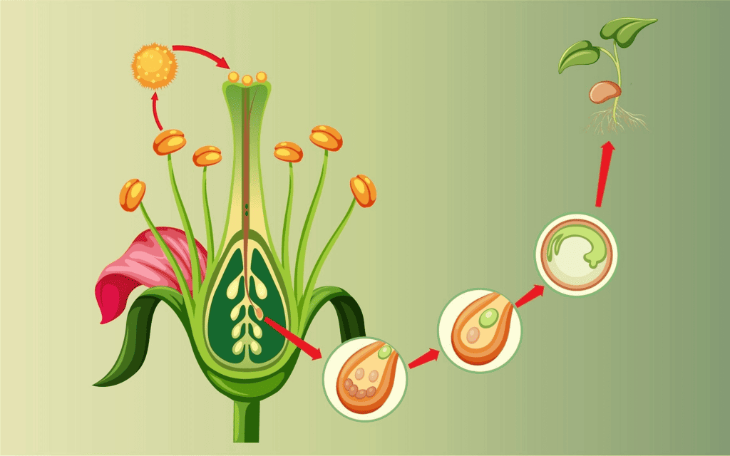 Reproduction Class 10 Class 10th Science How Do Organisms Reproduce