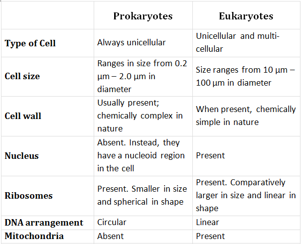 Differences Between Prokaryotic And Eukaryotic Cells Difference