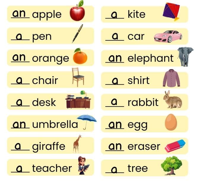 Articles A/An Worksheet 1 - UKG English PDF Download