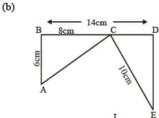 Geometric Twins Worksheet - Class 7 Maths (Ganita Prakash) - New NCERT