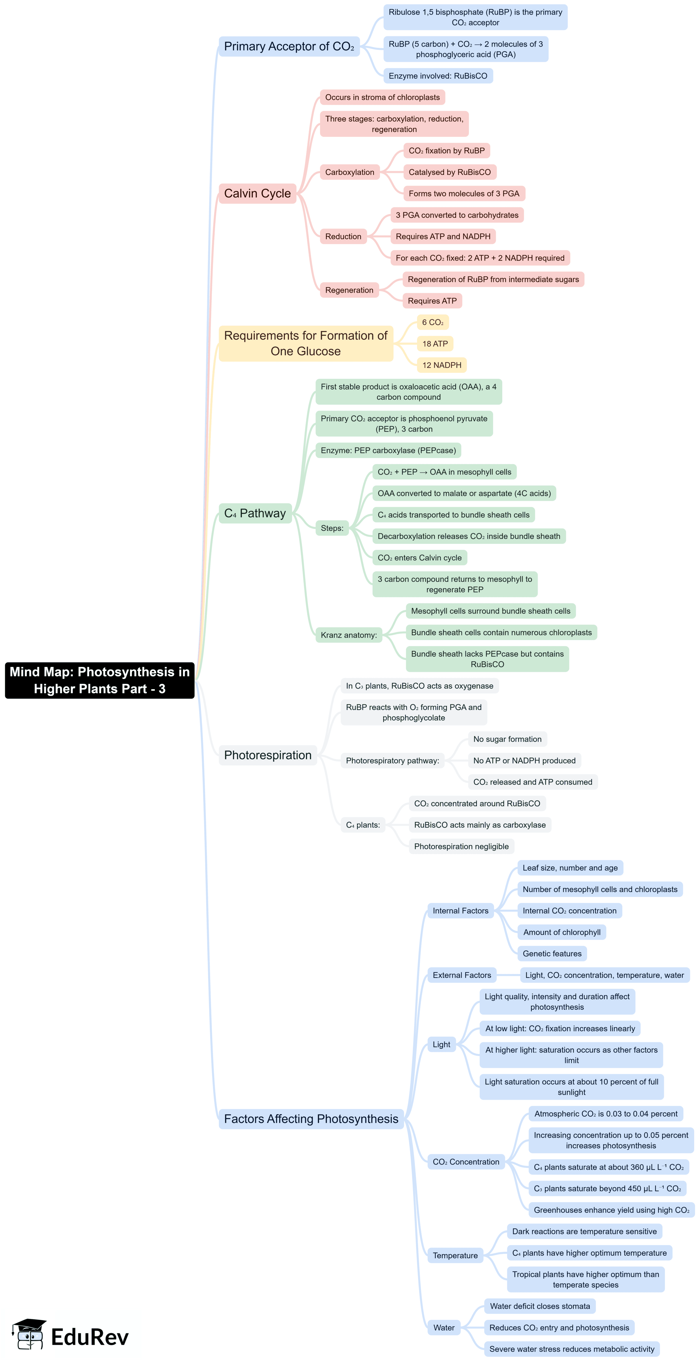 Photosynthesis in Higher Plants Mind Map - NEET Biology Class 11 PDF ...