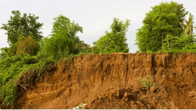 Deforestation and Desertification - UPSC PDF Download