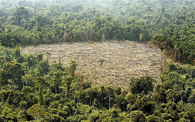 Deforestation and Desertification - UPSC PDF Download