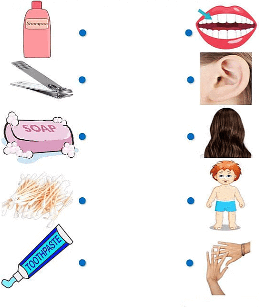 Worksheet: Bathroom - EVS for LKG PDF Download