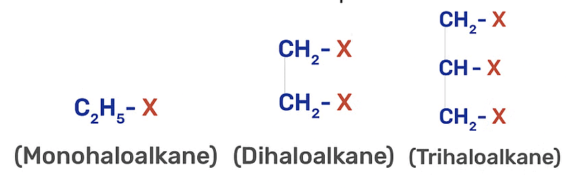 Classification and Nomenclature of Haloalkanes and Haloarenes - Class 12 PDF Download