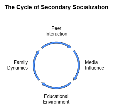 Notes: Socialisation Process - Child Development and Pedagogy for CTET ...