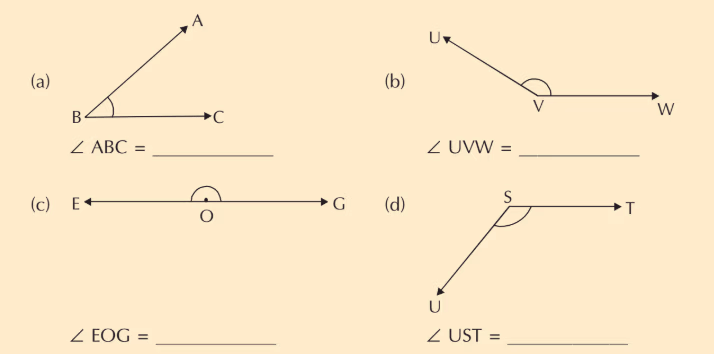 Worksheet: Lines, Angles and Triangles - Class 5 PDF Download