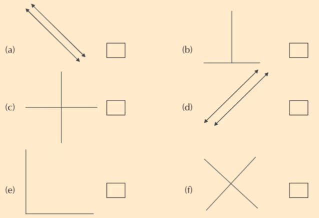 Worksheet: Lines, Angles and Triangles - Class 5 PDF Download