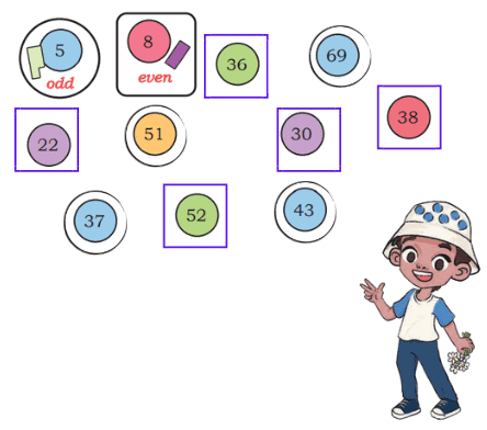 NCERT Solutions for Class 4 Maths Chapter 3 - Patterns Around Us