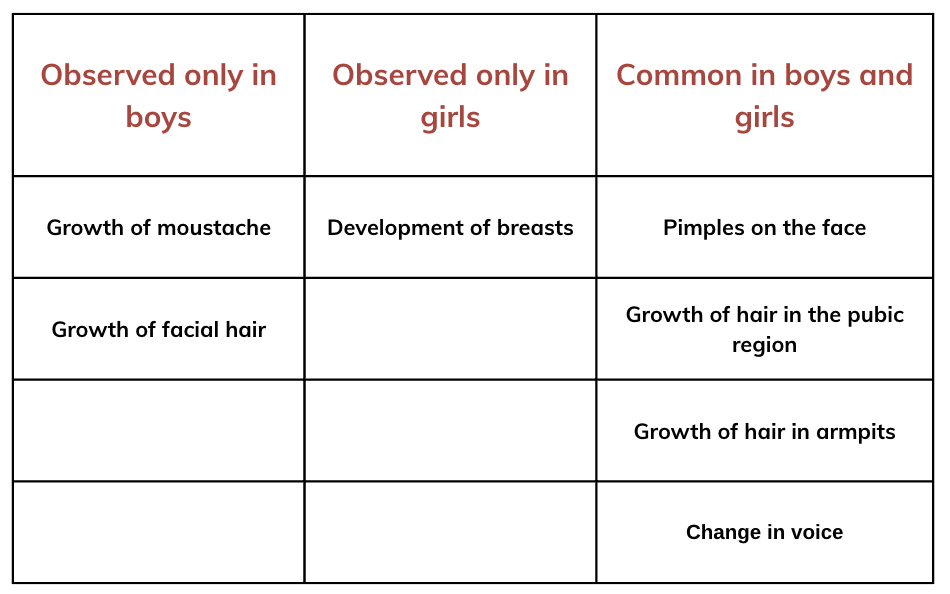 NCERT Solutions for Class 7 Science Chapter 6 Adolescence: A Stage of ...