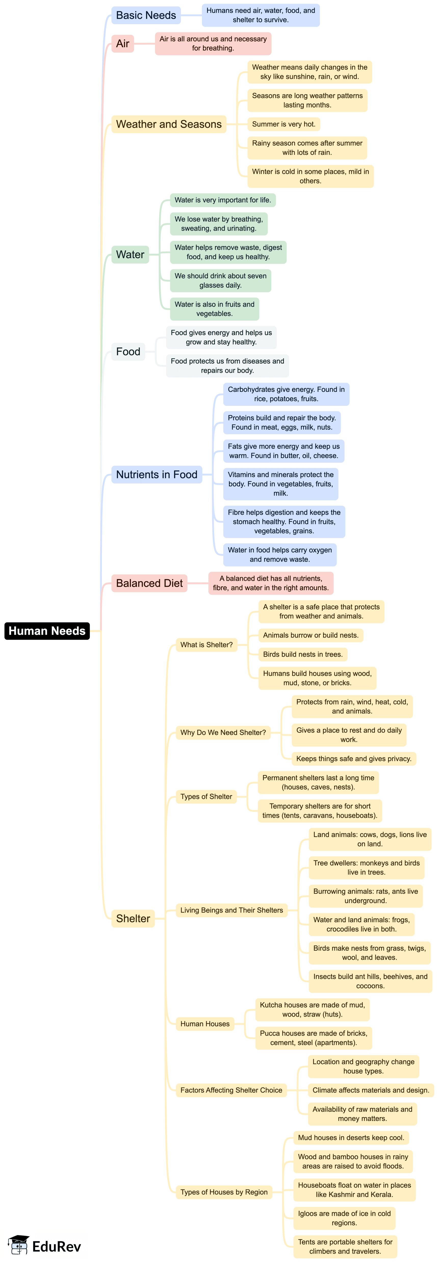 Human Needs Mind Map - Class 4 Science Olympiad PDF Download