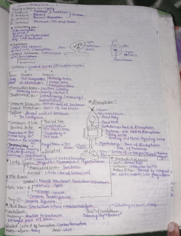 Neural Control and Coordination : Short Notes. - NEET PDF Download