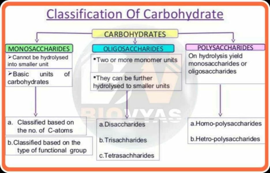 Classification Of Carbohydrates With Definition Types Meat Technology: