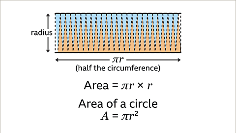 Area of Circles - Year 7 PDF Download