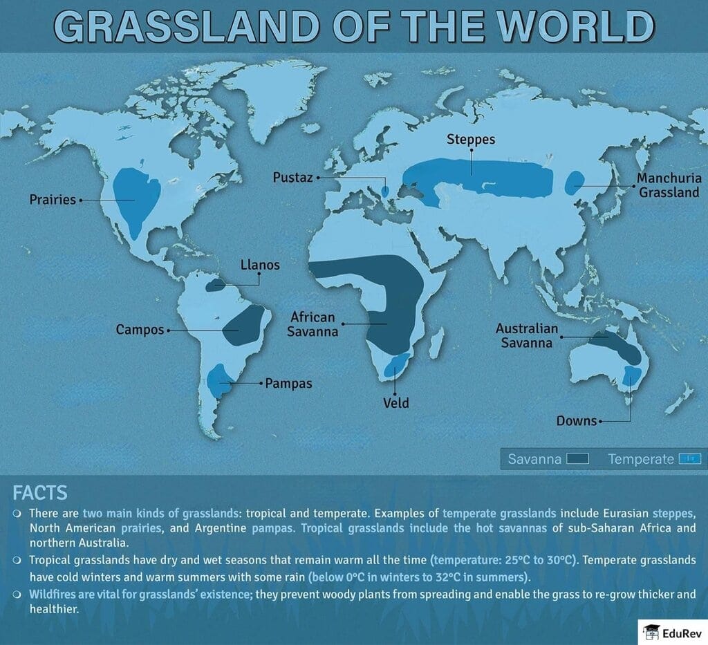 Map: Grasslands of the World - Geography for UPSC CSE PDF Download
