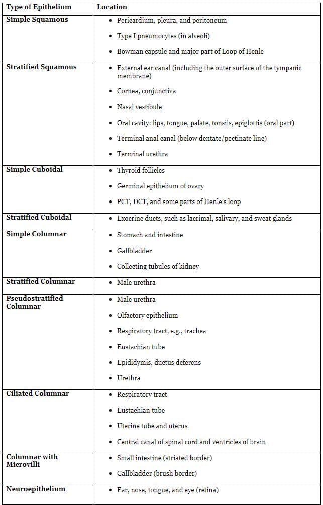 Histology - 1 Chapter Notes - Anatomy - NEET PG PDF Download