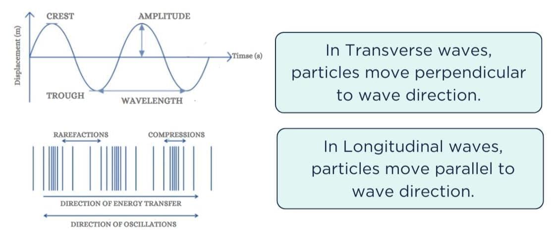 HOTS Questions: Sound - Science Class 9 PDF Download
