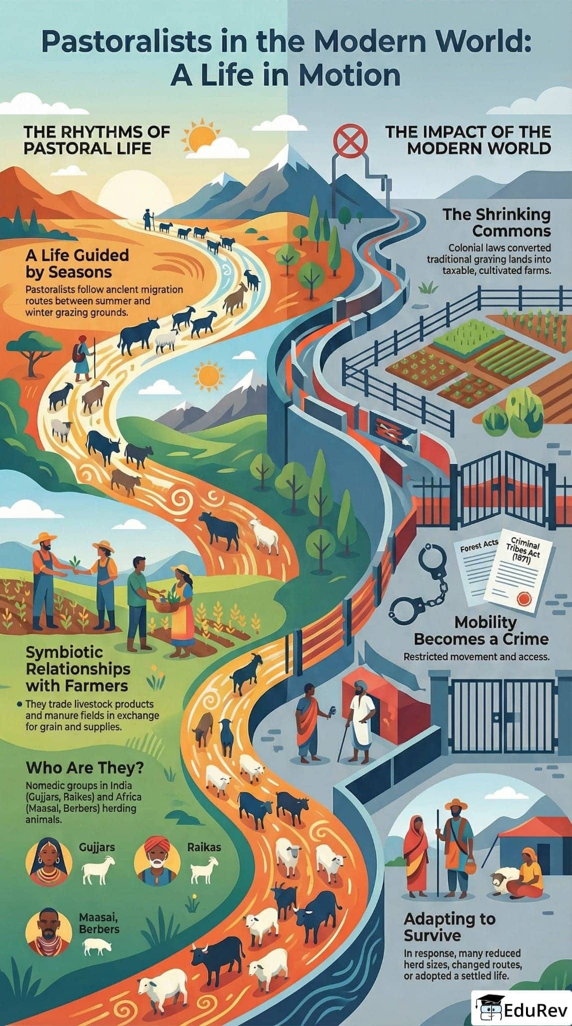 Infographics: Pastoralists in the Modern World - Social Studies (SST ...