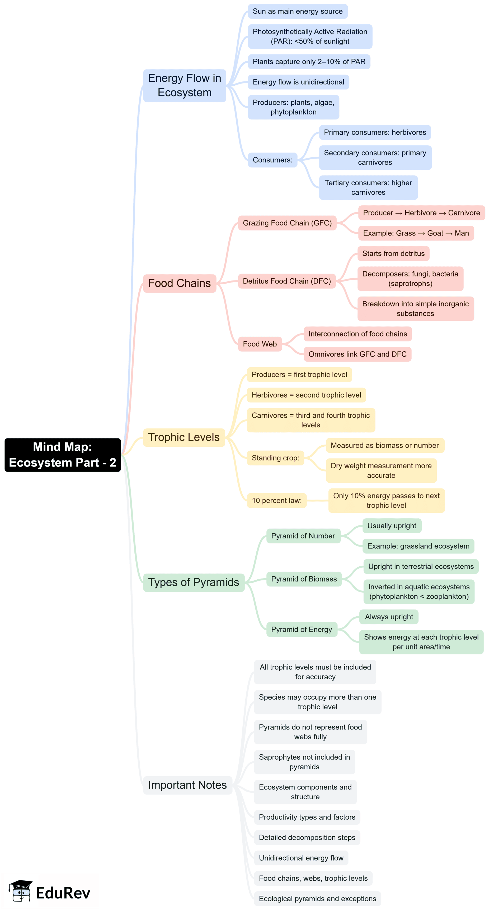 Mind Map: Ecosystem - Biology Class 12 - NEET PDF Download