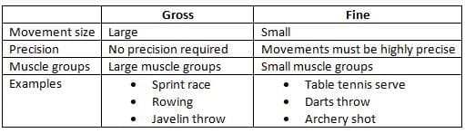 Defining Skill and Ability - Physical Education for GCSE/IGCSE - Year 11