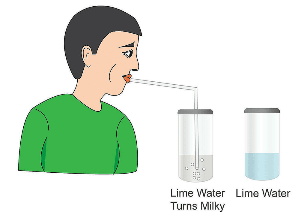 Diagram Based Question Answers Physical and Chemical Changes - Science ...