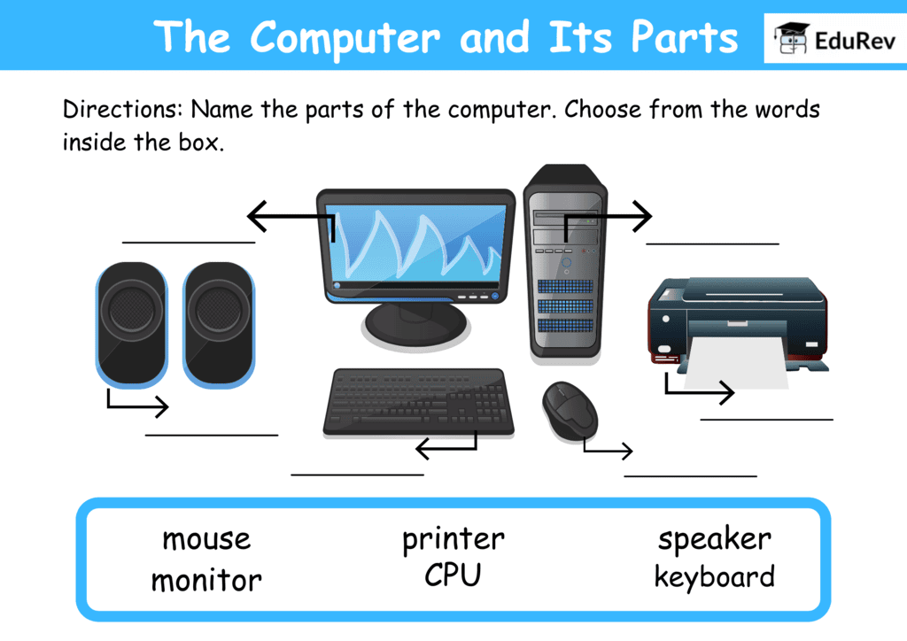 Visual Worksheet: Computer Basics - Science for Class 3 PDF Download