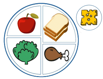 07. The Food we Eat – 2 Worksheet Solutions – Text Book Solutions All Class