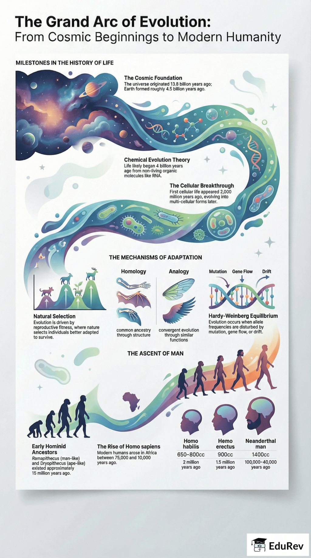 Infographics Evolution - Biology Class 12 - NEET PDF Download