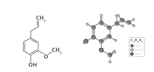 Elimination Reaction E1 and E2 Reaction Mechanisms - JEE PDF Download