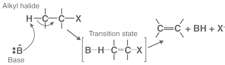 Elimination Reaction: E1 and E2 Reaction Mechanisms - JEE PDF Download