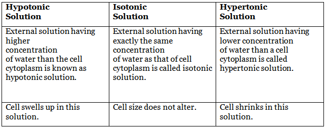 Ncert Class 9 Science Solutions Chapter 5 The Fundamental