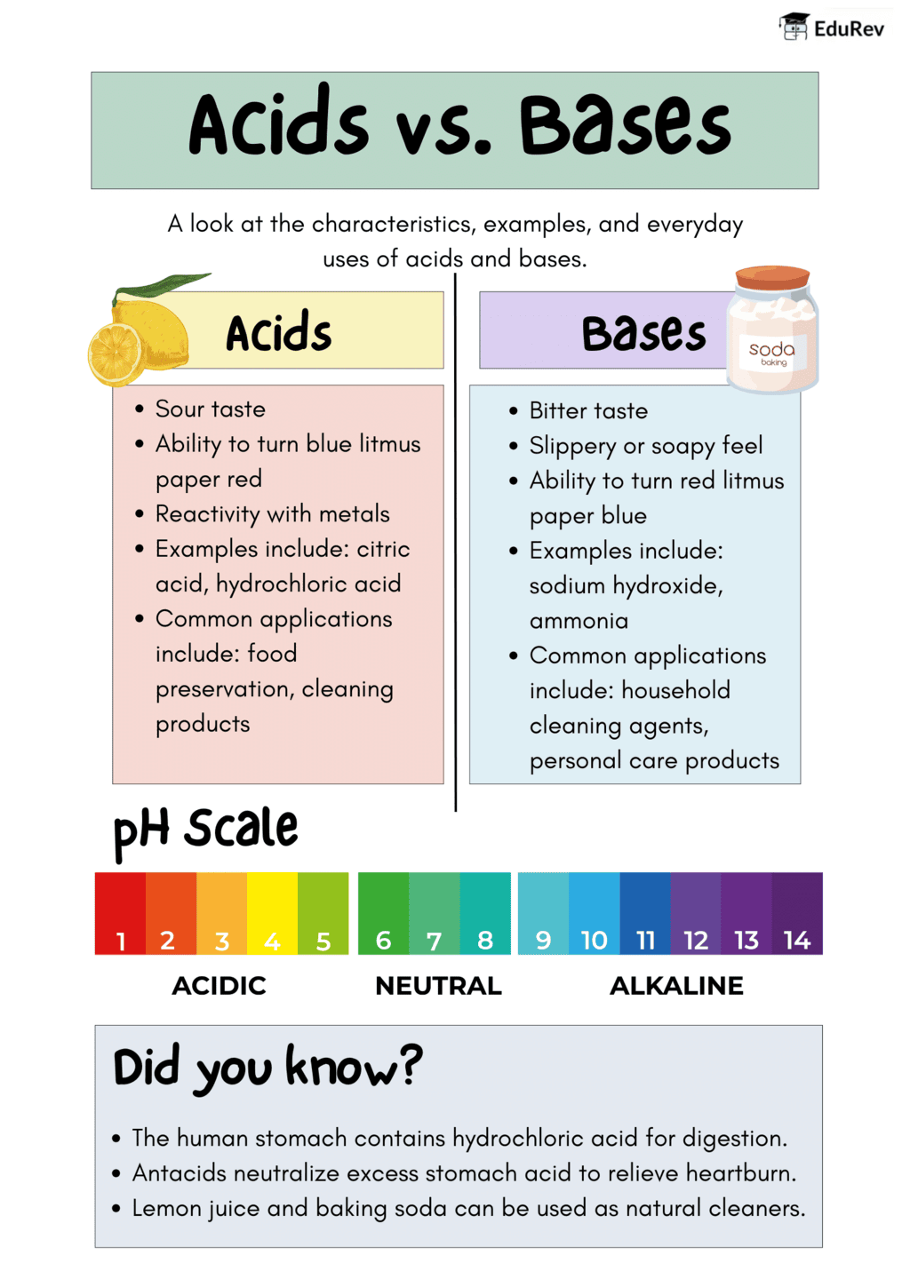 Infographics: Acids vs Bases - Science Class 10 PDF Download