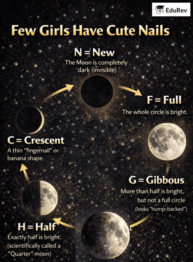 Mnemonics Keeping Time with the Skies - Science Curiosity Class 8 - New