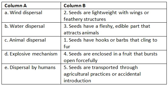 Worksheet with Solutions: Dispersal of Seeds - Class 5 PDF Download