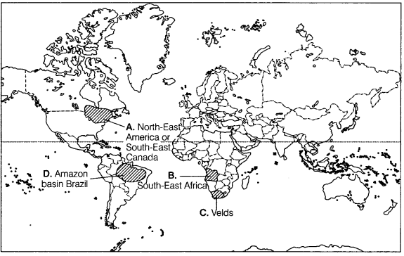 Map Based Work: Primary Activities - Geography Class 12 - Humanities ...
