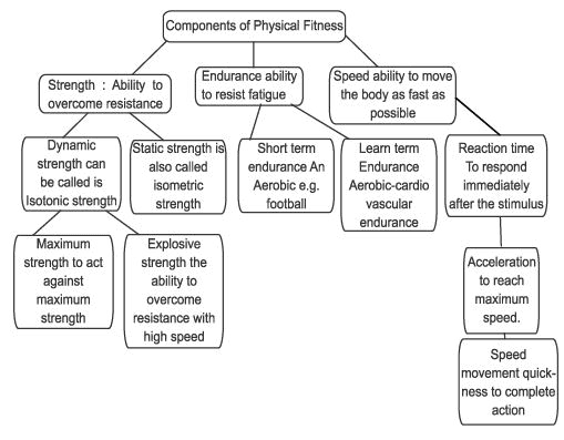 Revision Notes, Physical Fitness, Wellness and Lifestyle, Physical ...
