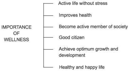 Revision Notes, Physical Fitness, Wellness and Lifestyle, Physical ...
