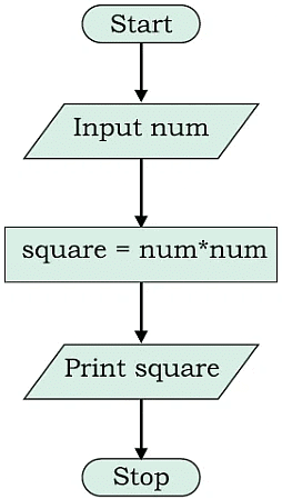 Problem Solving - Computer Science for Grade 11 PDF Download