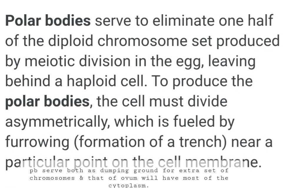 What is the function of polar bodies and why they were formed during ...