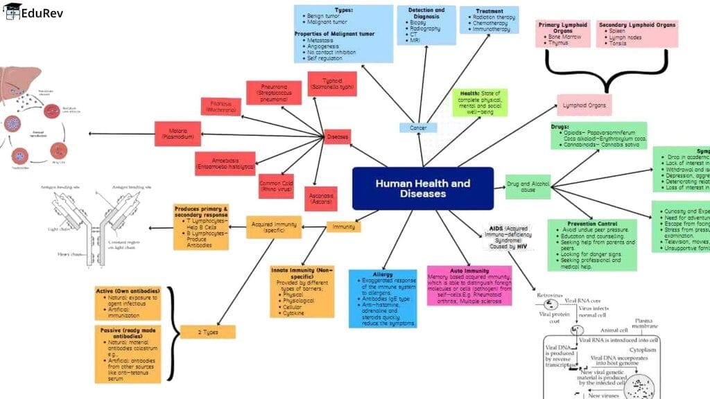 Infographic: Human Health and Disease - NEET PDF Download
