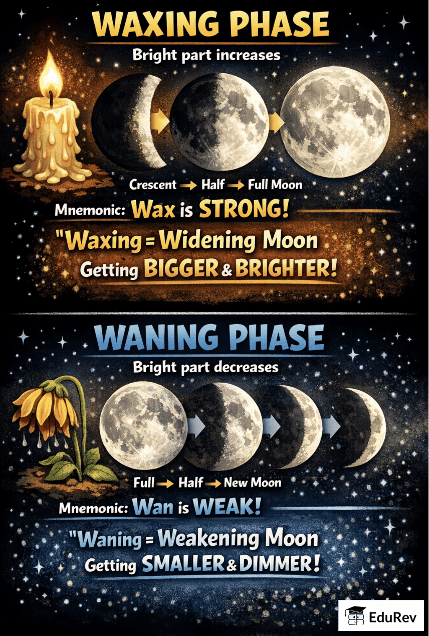 Mnemonics Keeping Time with the Skies - Science Curiosity Class 8 - New