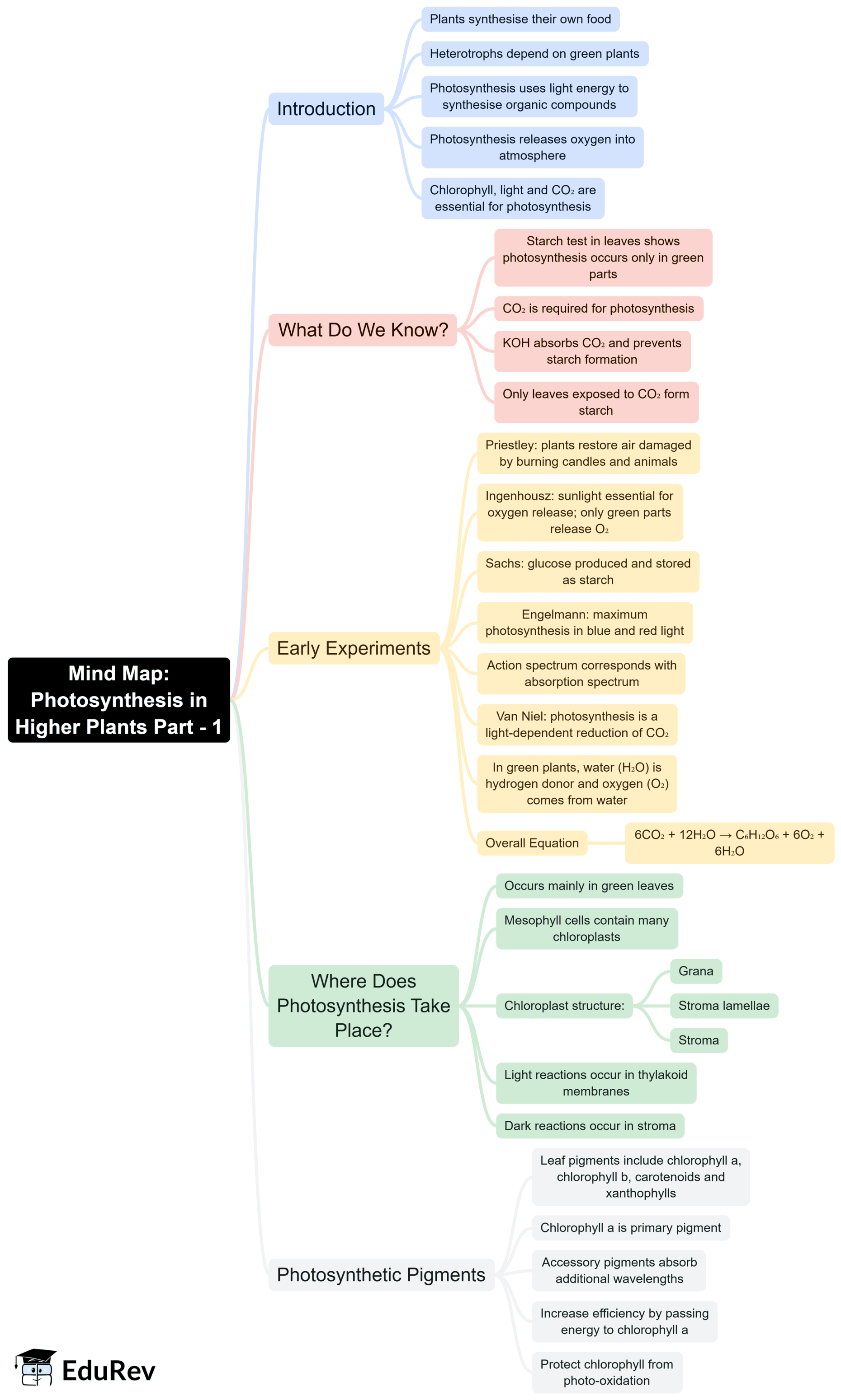 Photosynthesis in Higher Plants Mind Map - NEET Biology Class 11 PDF ...