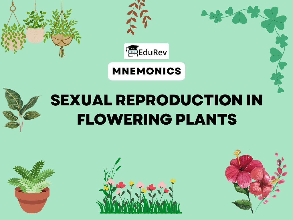 Reproduction In Plants Presentation Biology